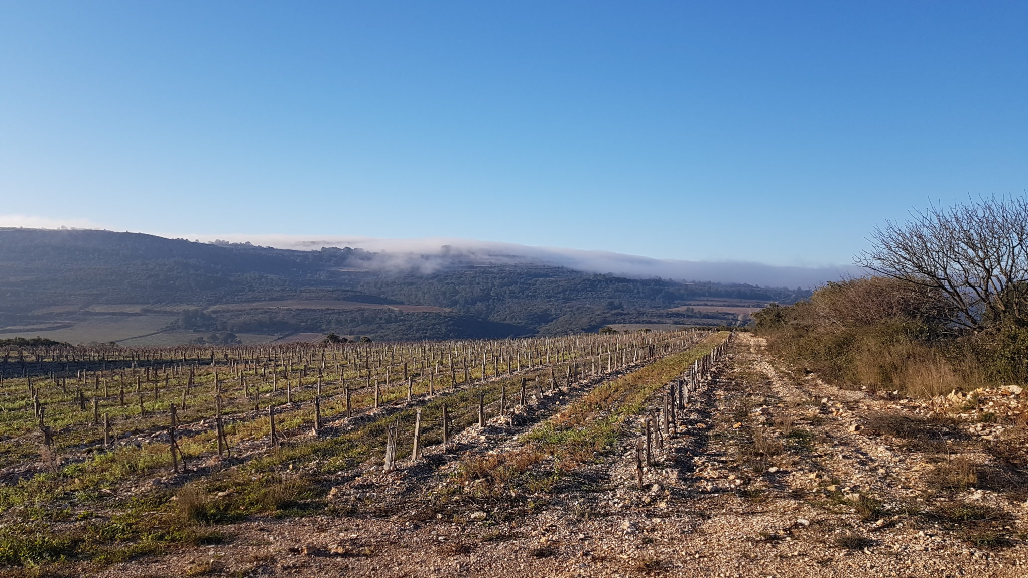 Le Château Coupe-Roses lauréat des Trophées de l’agroécologie ...